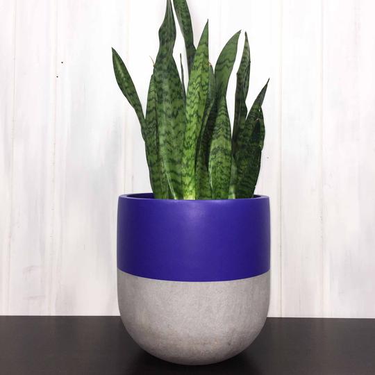 Hand Painted - Pot - U6