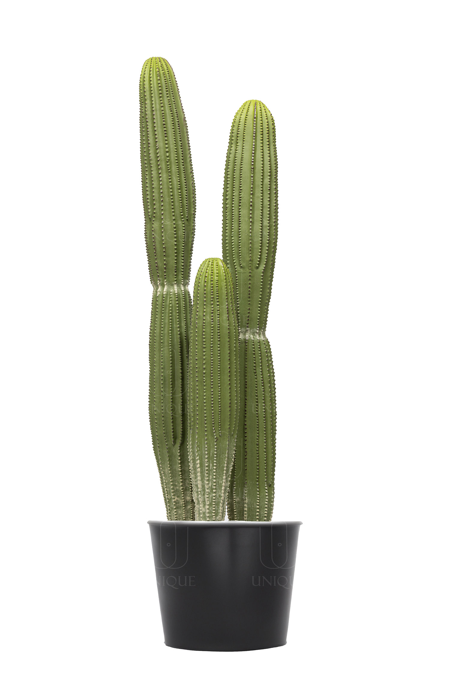 Artificial Cactus Triple Trunk H105CM