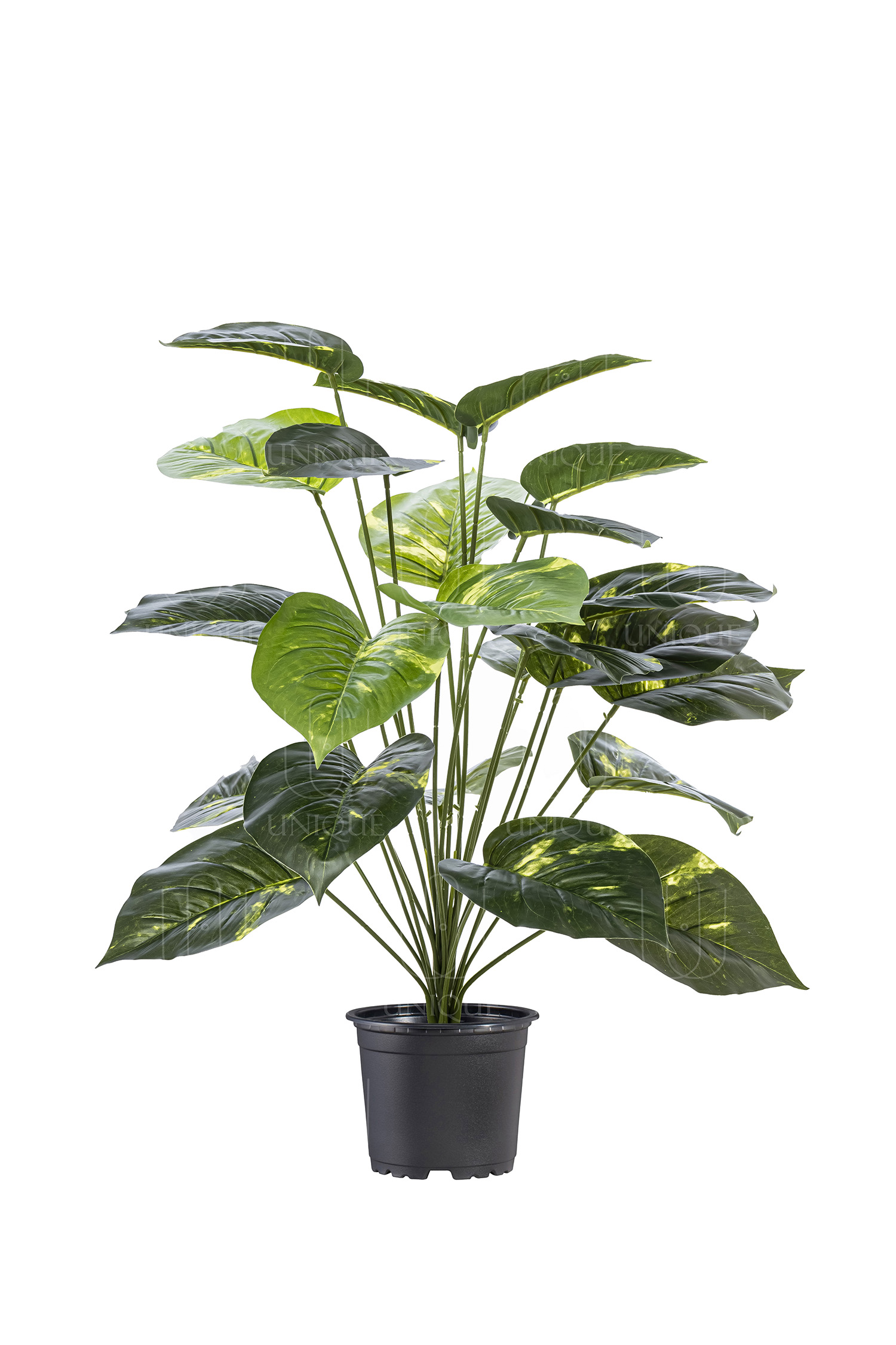 Vitika Flower Artificial Plant Bunch With 24 Leavs H75CM