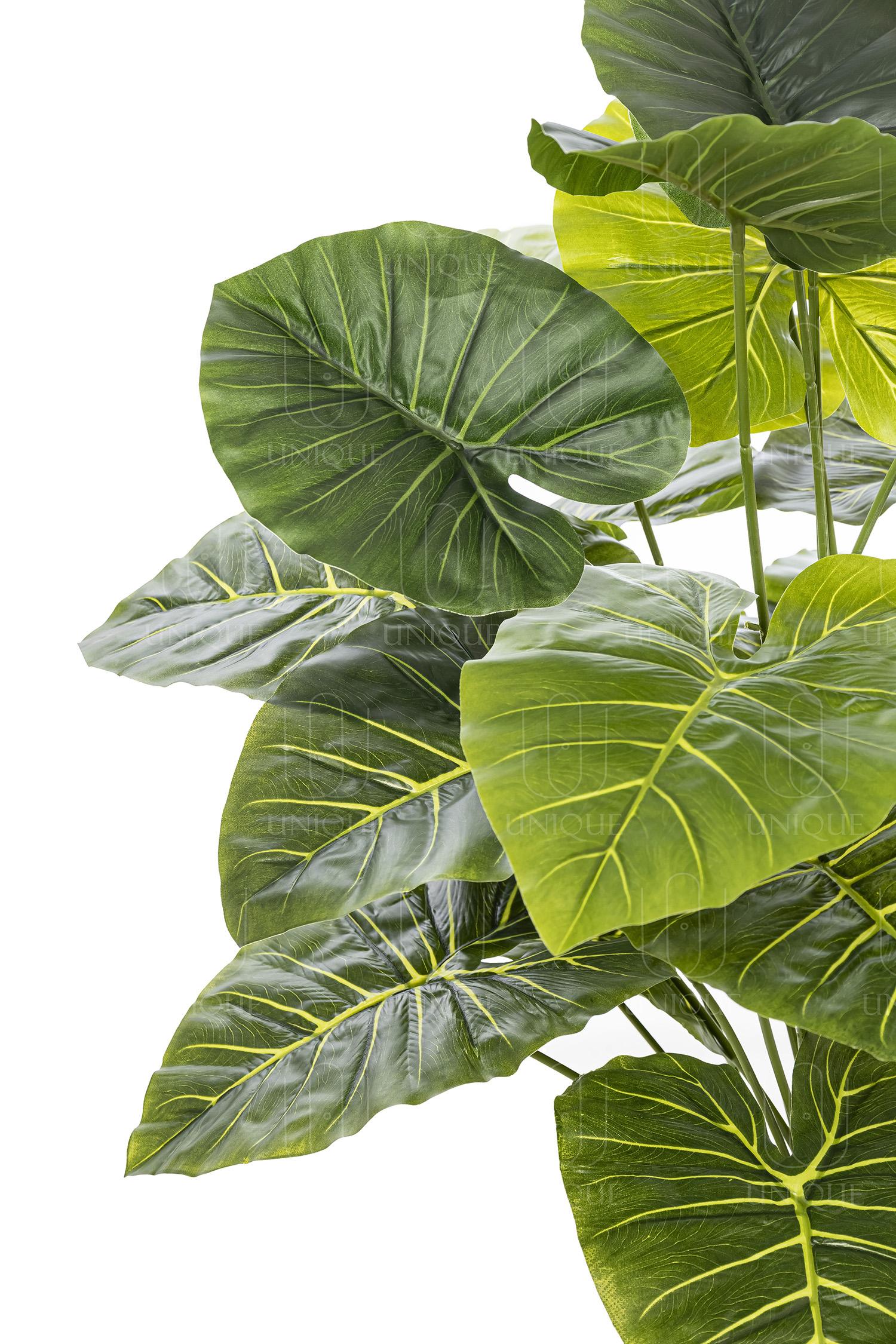 Taro Artificial Plant Bunch With 24 Leavs H75CM