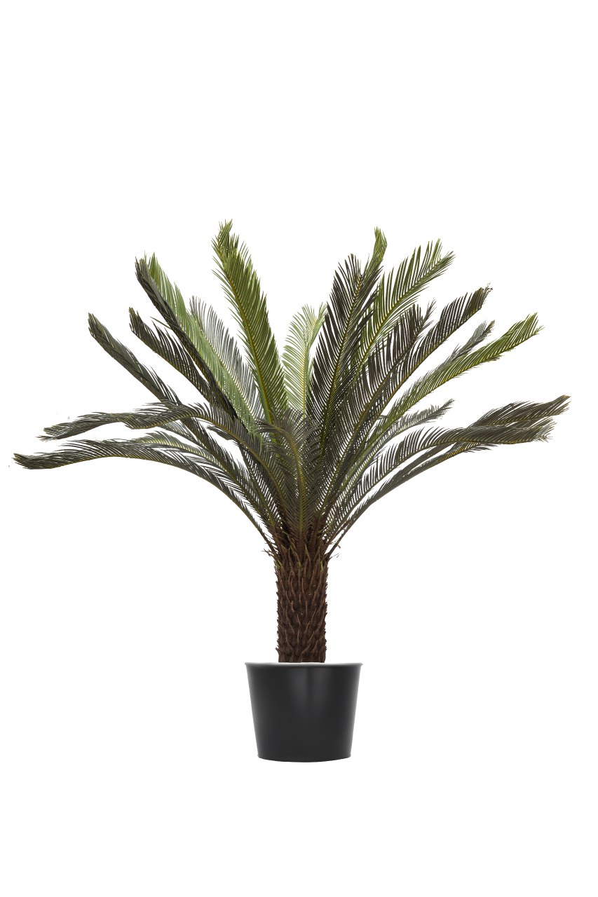 Cycas Artificial Tree Thick Trunk H140CM