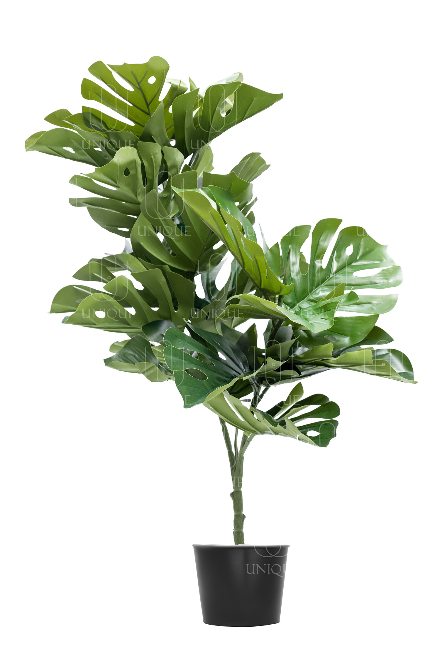 Monstera Artificial Tree H100CM Potted In Black Plastic Pot D15-20CM